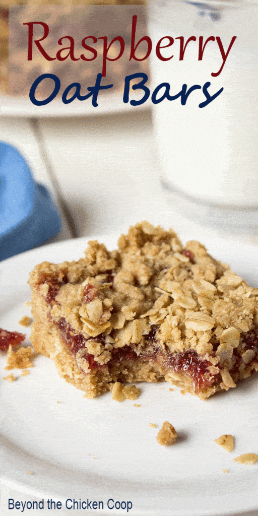 Raspberry Oat Bars - Beyond The Chicken Coop