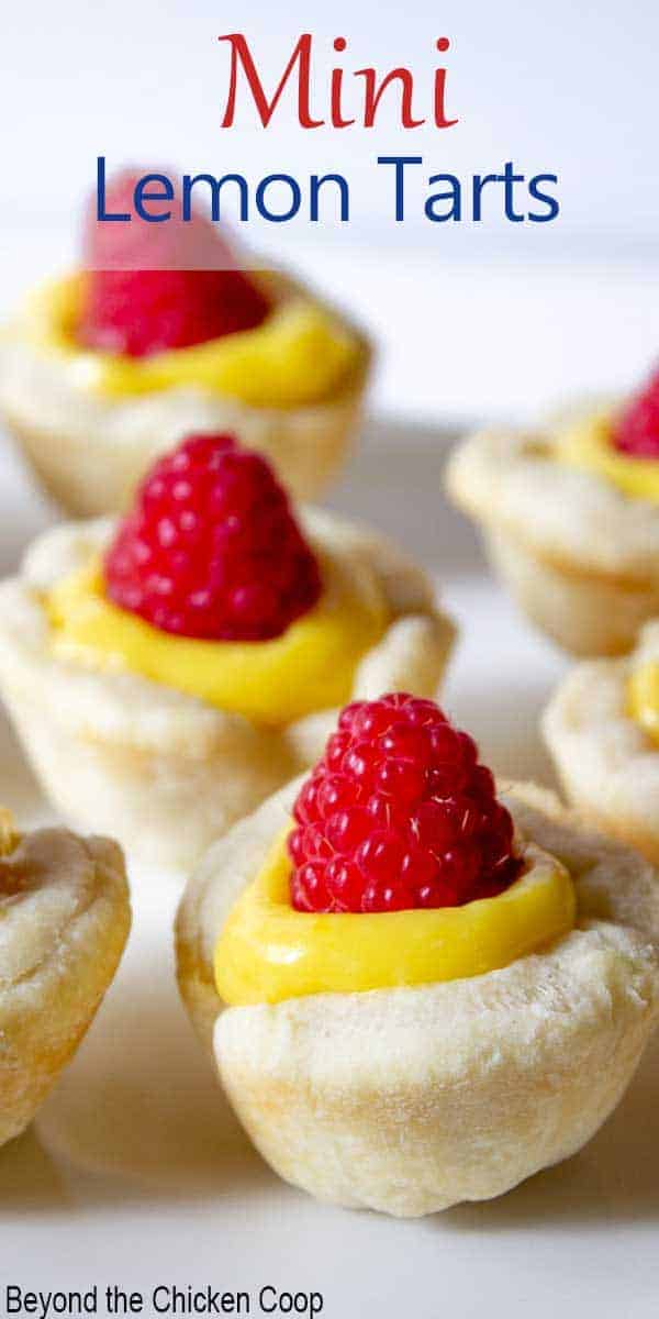Lemon Curd Tartlets - Beyond The Chicken Coop