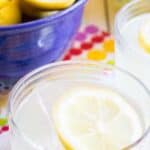 Fresh Squeezed Lemonade - Beyond The Chicken Coop