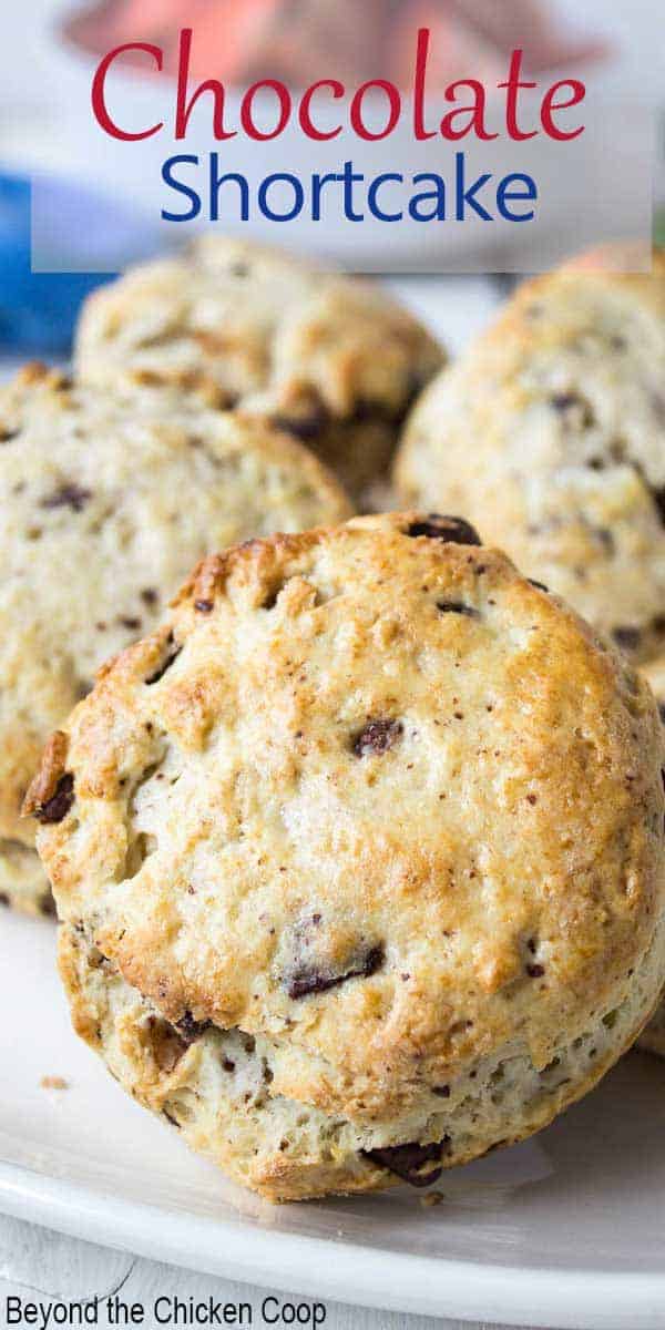 Strawberry Chocolate Shortcake - Beyond The Chicken Coop