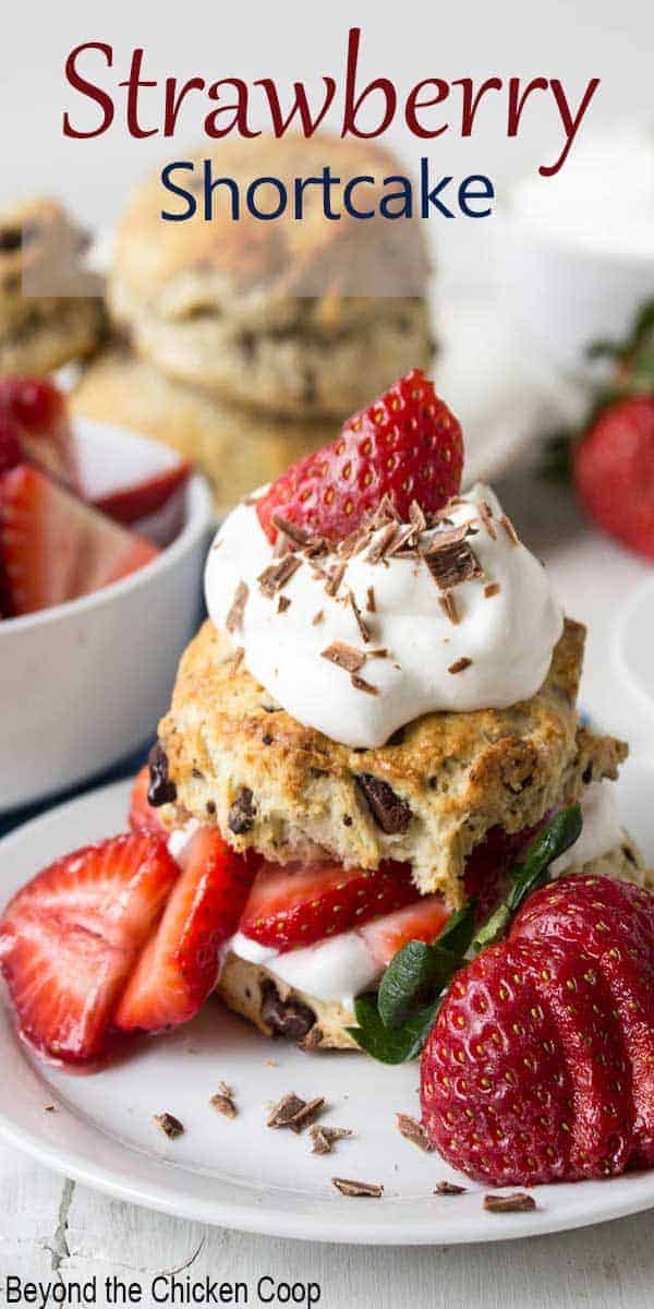 Strawberry Chocolate Shortcake - Beyond The Chicken Coop