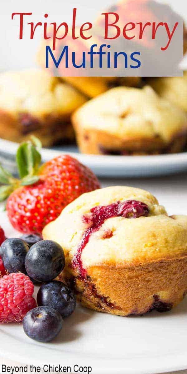 Triple Berry Muffins - Beyond The Chicken Coop