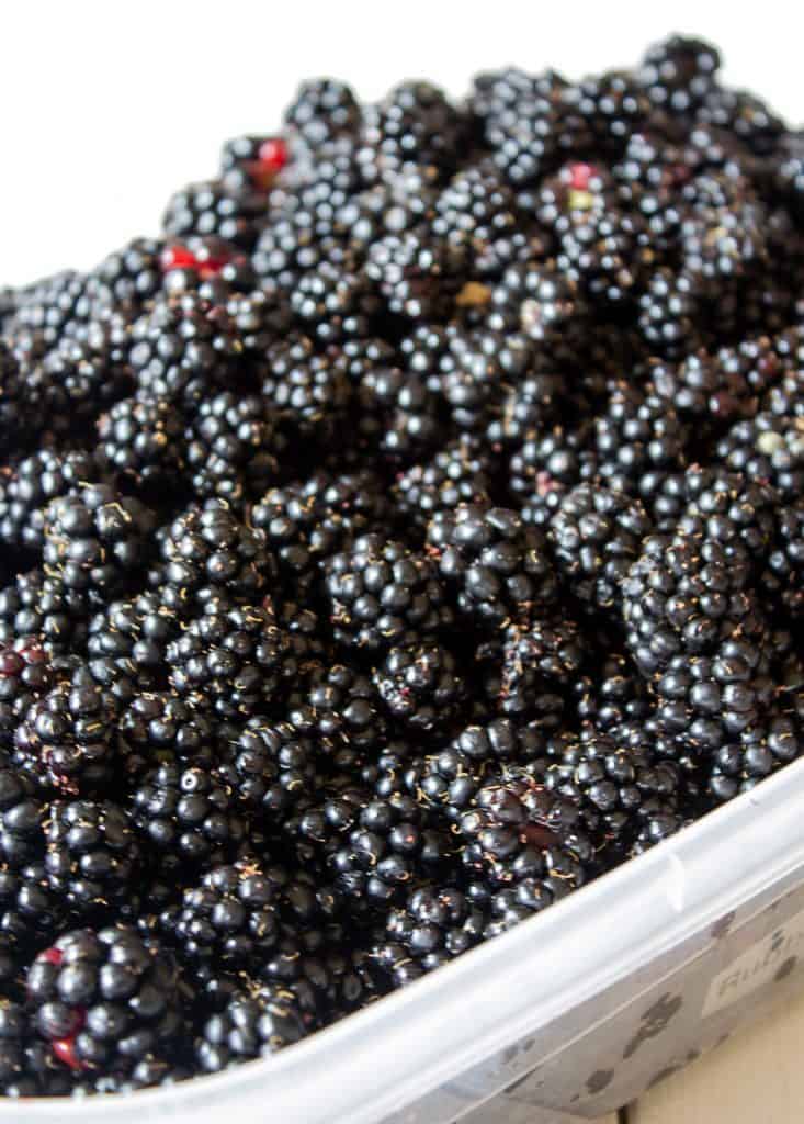 Seedless Blackberry Jam (without Pectin) - Beyond The Chicken Coop