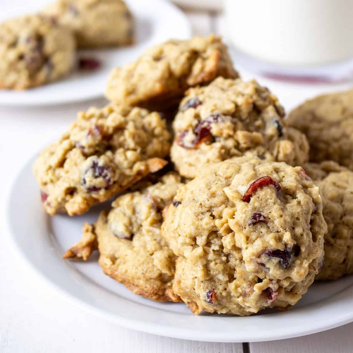 Oatmeal Cranberry Cookies - Beyond The Chicken Coop