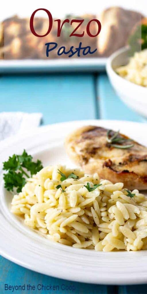 Orzo Pasta, Side Dish - Beyond The Chicken Coop