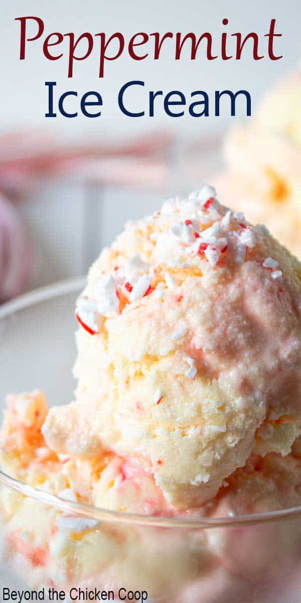 Peppermint Ice Cream - Beyond The Chicken Coop
