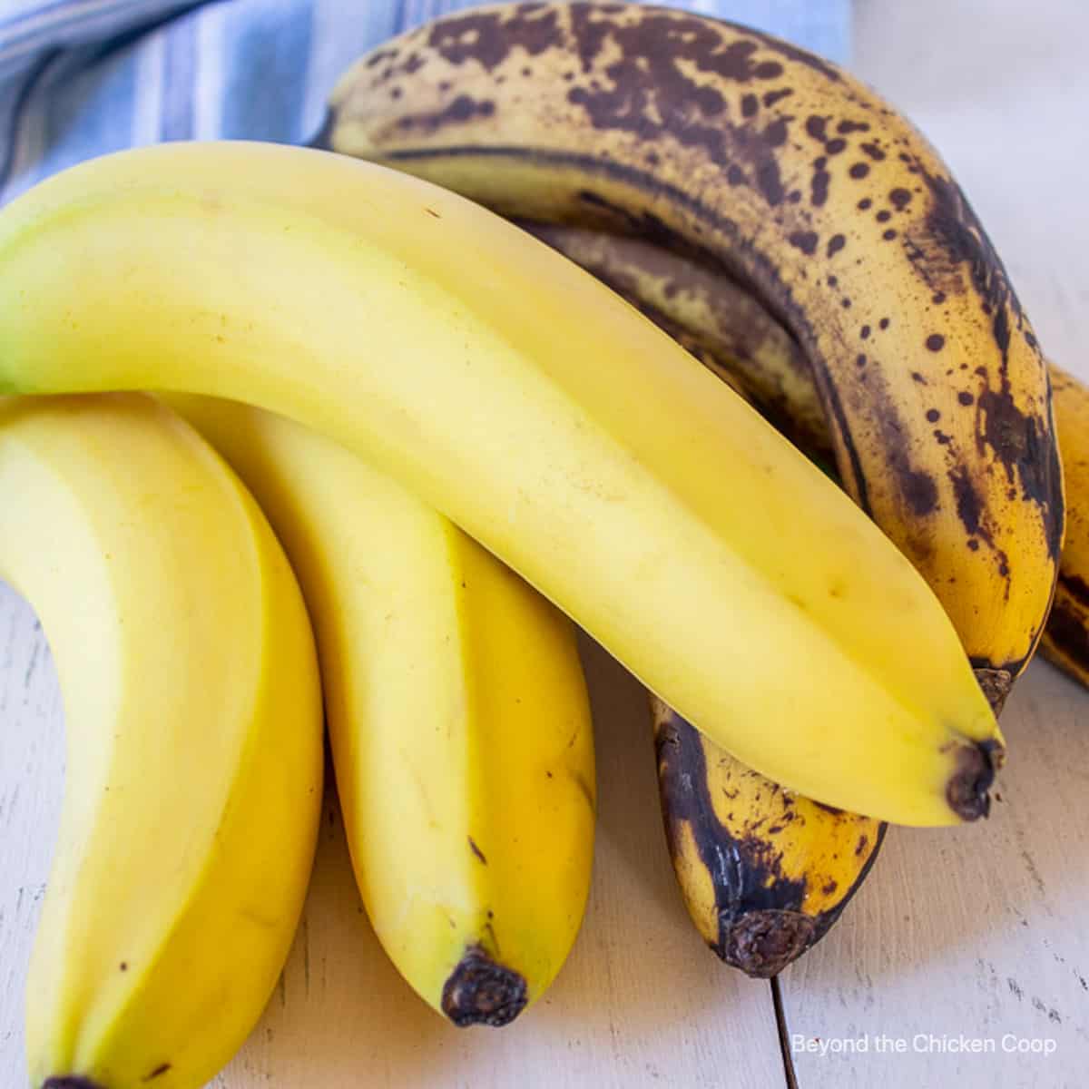 9 Ripe Banana Recipes - Beyond The Chicken Coop
