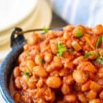 Santa Maria Beans - Beyond The Chicken Coop