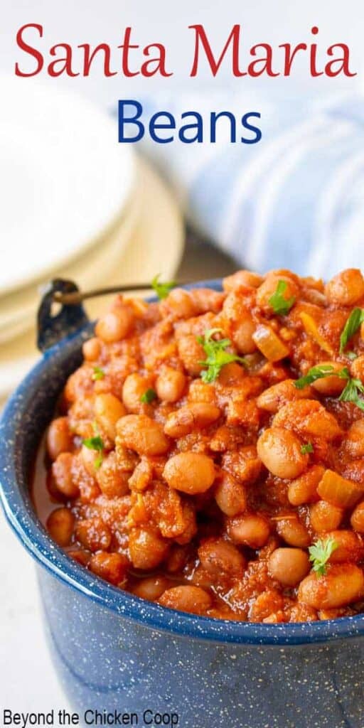 Santa Maria Beans - Beyond The Chicken Coop