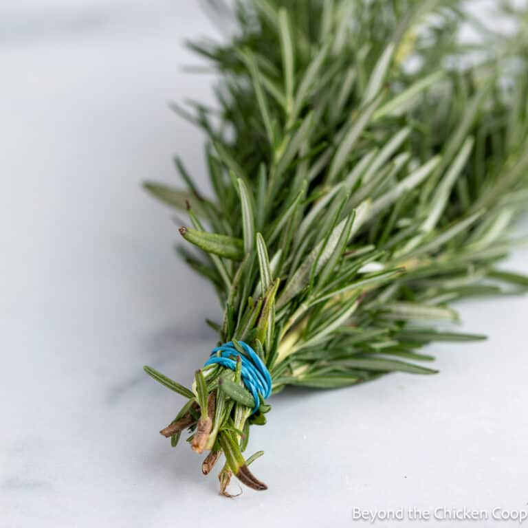 Drying Rosemary - Beyond The Chicken Coop