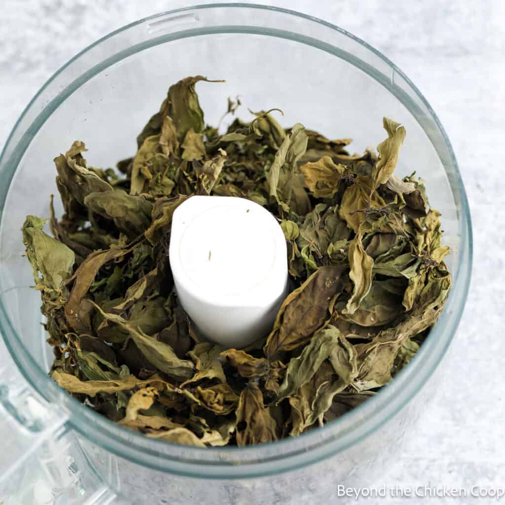 How to Dry Basil - Beyond The Chicken Coop