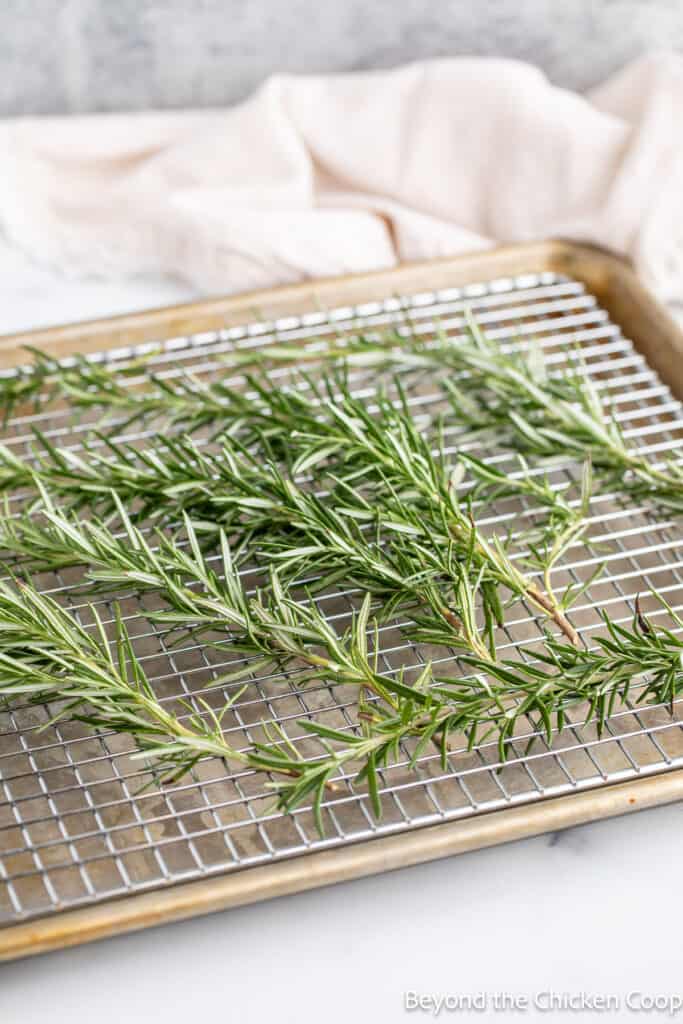 Drying Rosemary - Beyond The Chicken Coop