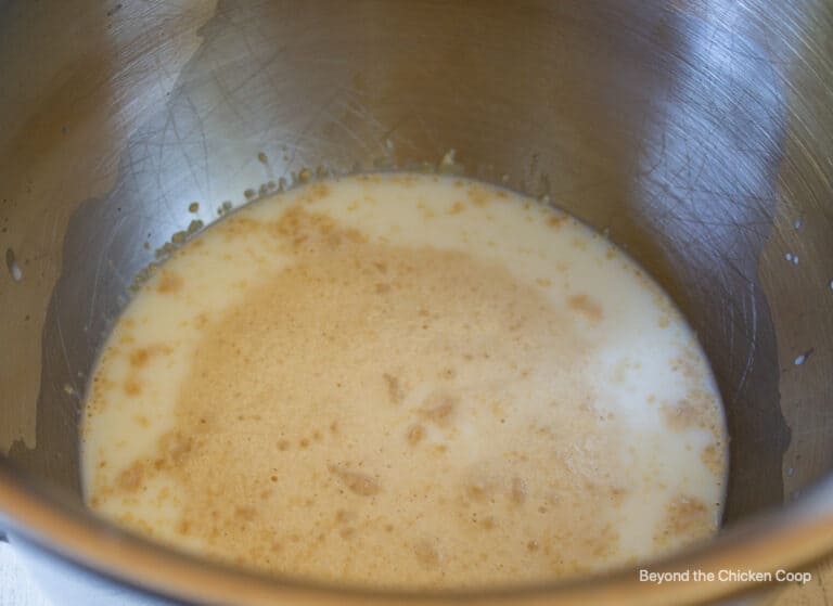 Homemade Potato Bread Recipe - Beyond The Chicken Coop