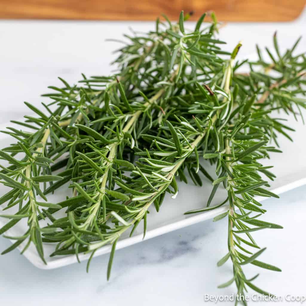 Drying Rosemary - Beyond The Chicken Coop