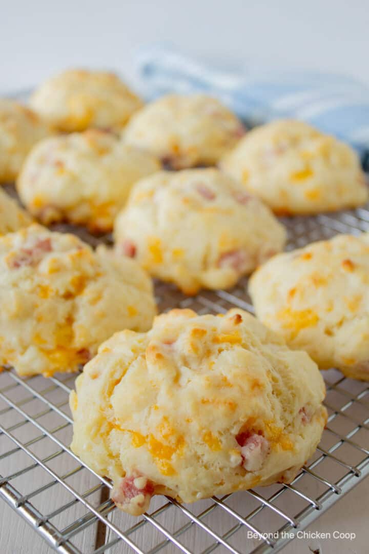 Ham and Cheese Biscuits - Beyond The Chicken Coop