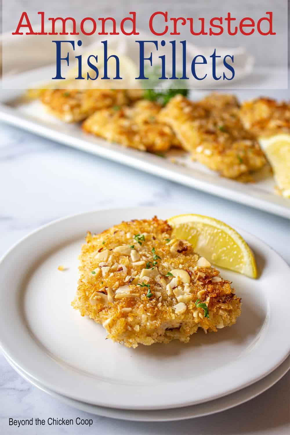Almond Crusted Fish - Beyond The Chicken Coop