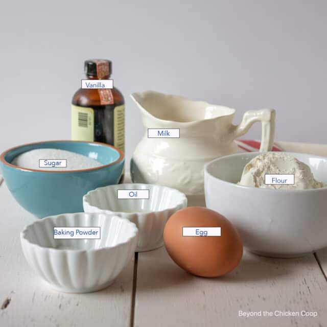 Baked Mini Donuts - Beyond The Chicken Coop