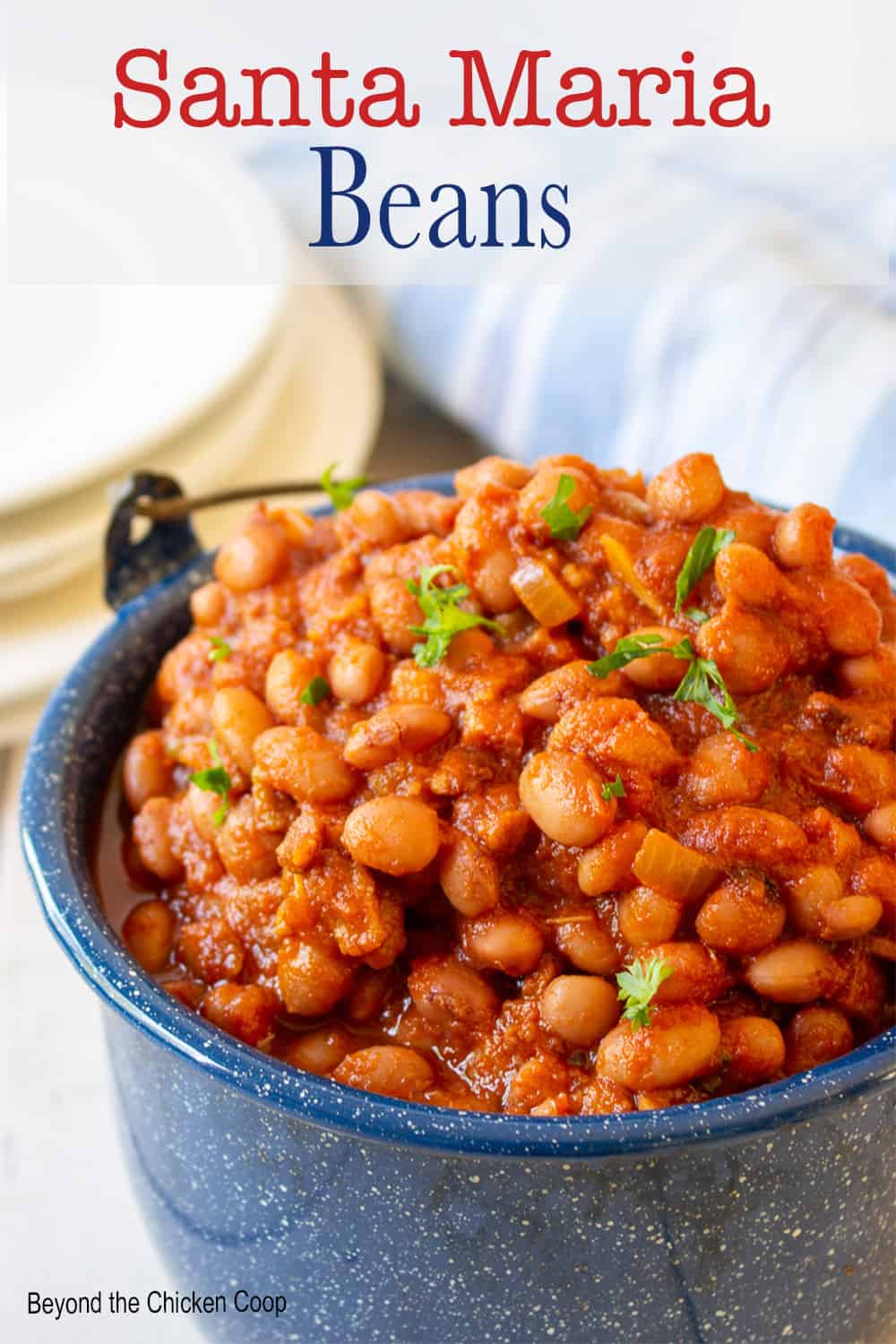 Santa Maria Beans - Beyond The Chicken Coop