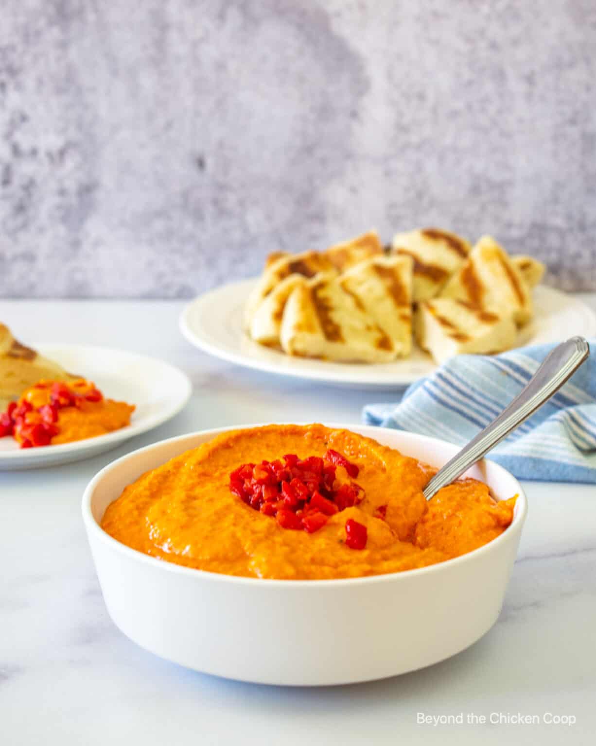 Roasted Red Bell Pepper Hummus - Beyond The Chicken Coop