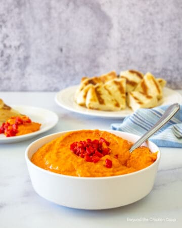 Roasted Red Bell Pepper Hummus - Beyond The Chicken Coop