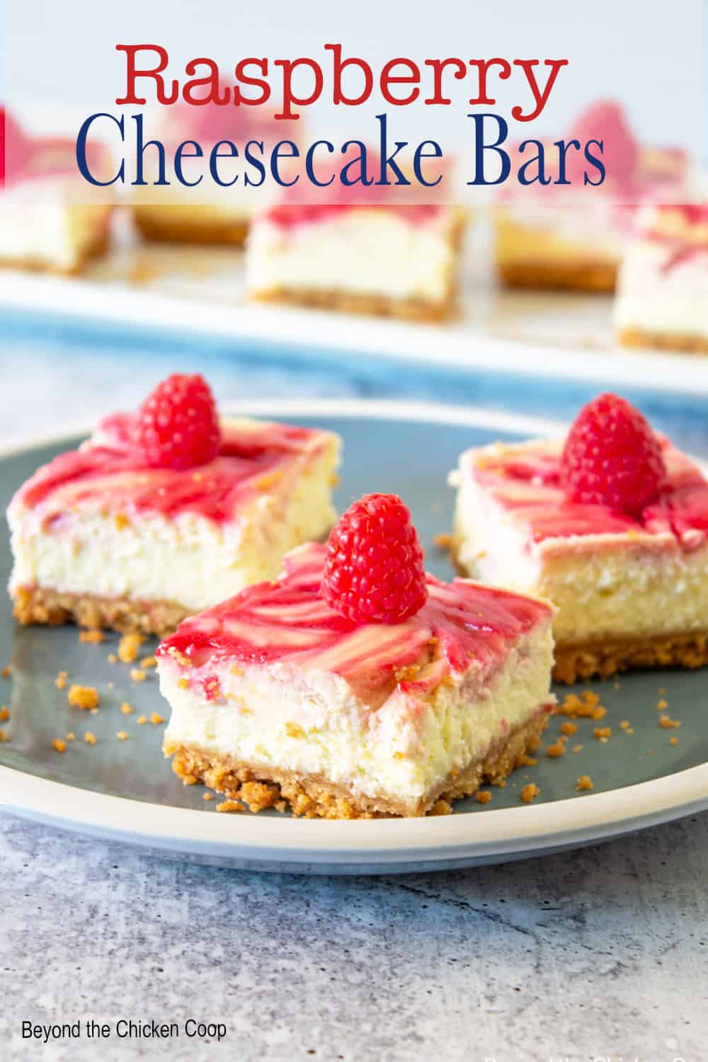 Raspberry Cheesecake Bars - Beyond The Chicken Coop