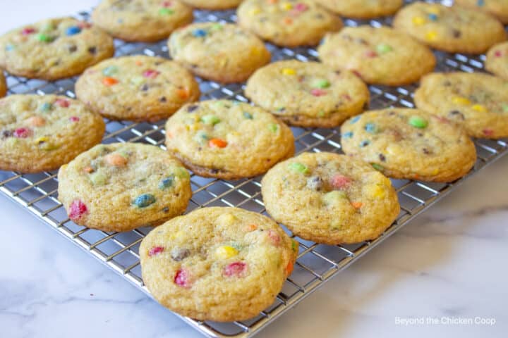 Mini M&M Cookies - Beyond The Chicken Coop
