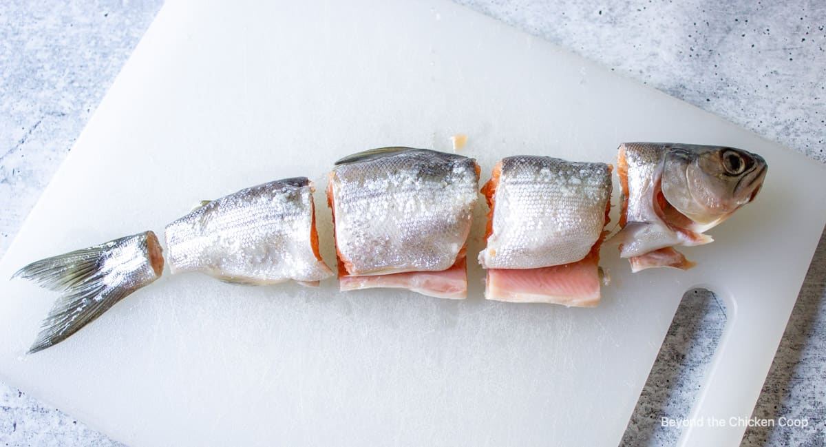 Canning Fish - Beyond The Chicken Coop