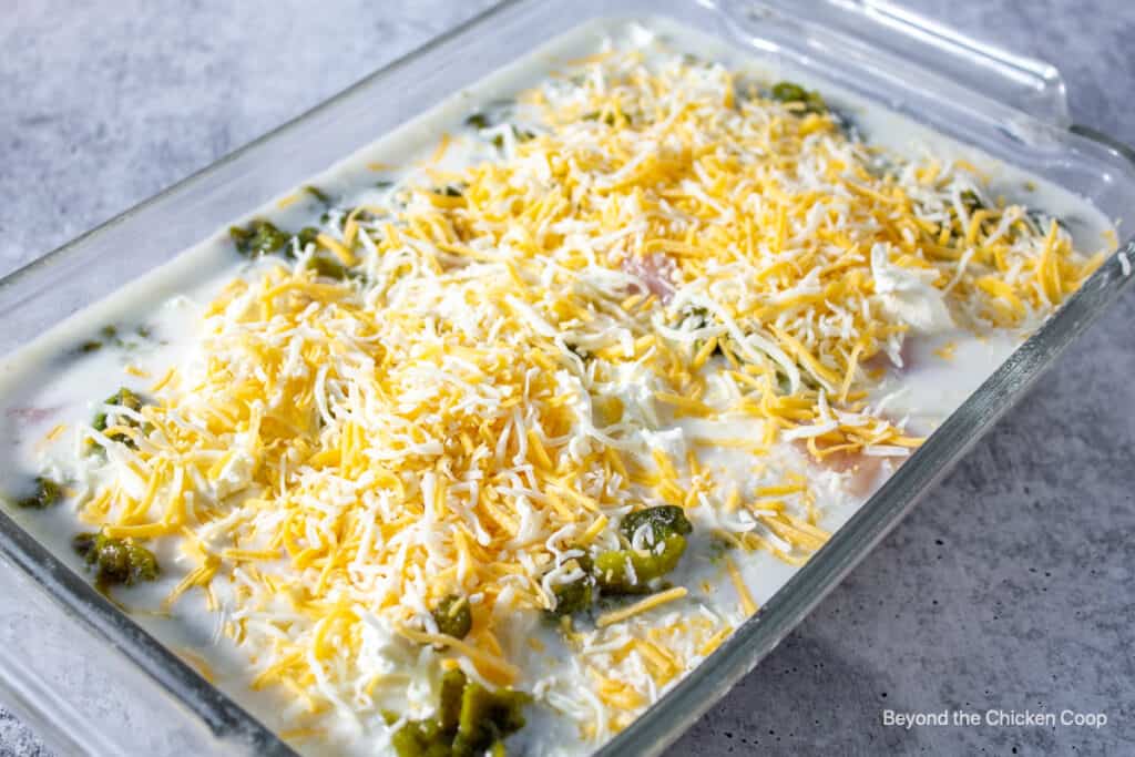 Green Chile Chicken and Rice - Beyond The Chicken Coop