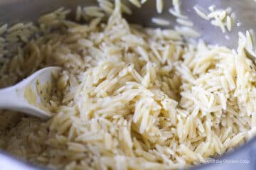 Parmesan Orzo Recipe - Beyond The Chicken Coop
