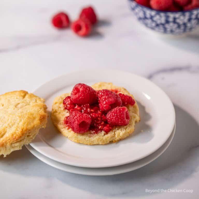 Raspberry Shortcake - Beyond The Chicken Coop