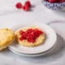 Raspberry Shortcake - Beyond The Chicken Coop