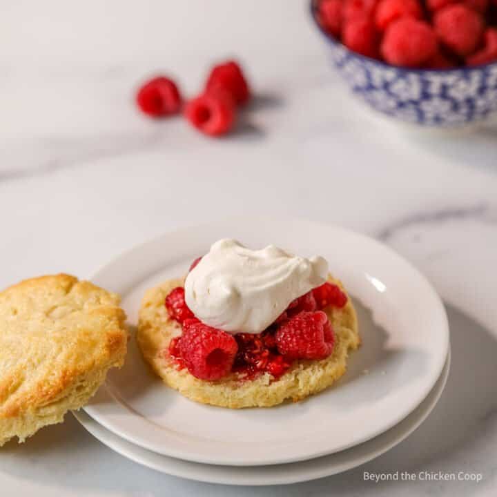 Raspberry Shortcake - Beyond The Chicken Coop