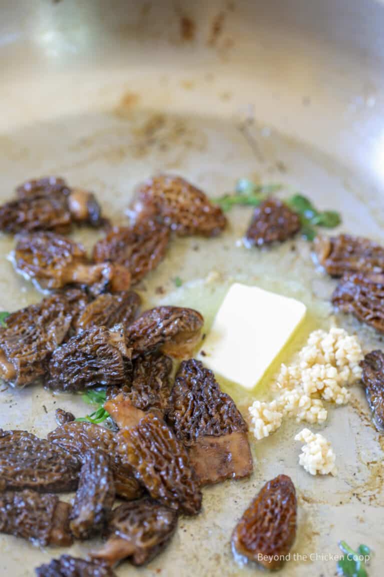 Sauteed Morel Mushrooms - Beyond The Chicken Coop