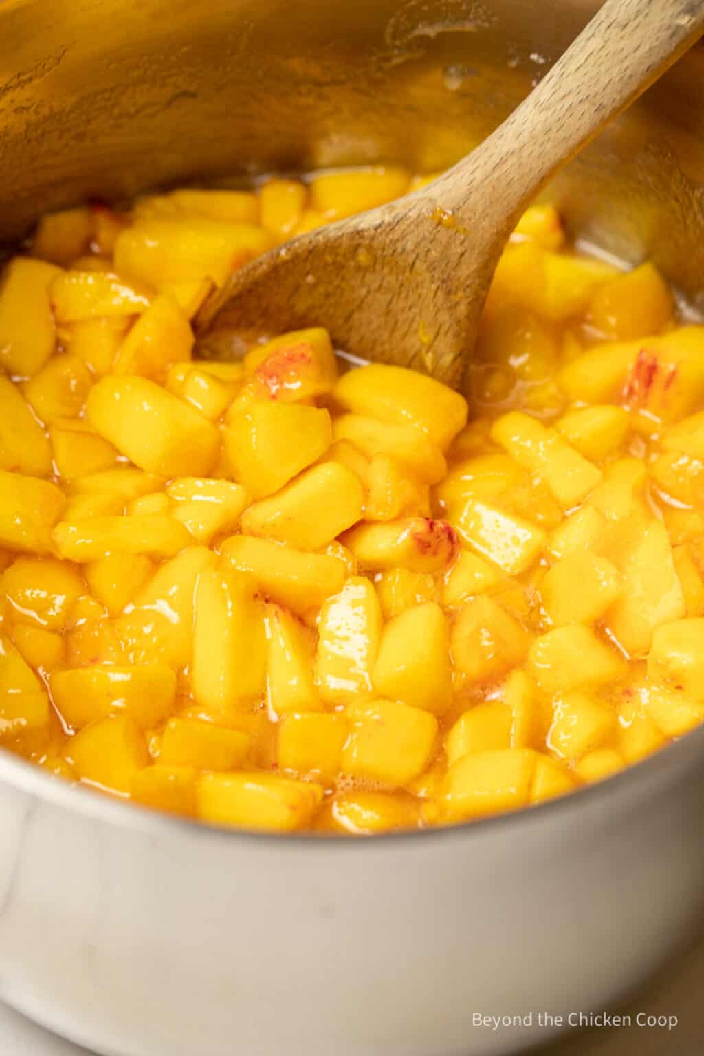 Peach Preserves - Beyond The Chicken Coop