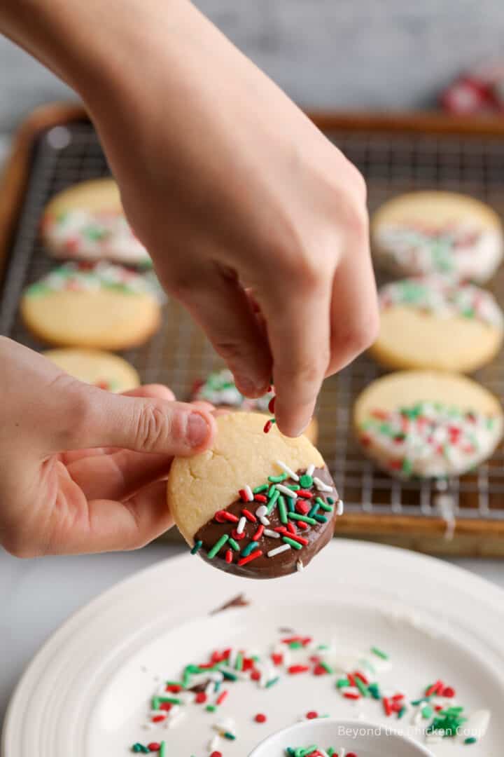 Shortbread Christmas Cookies - Beyond The Chicken Coop