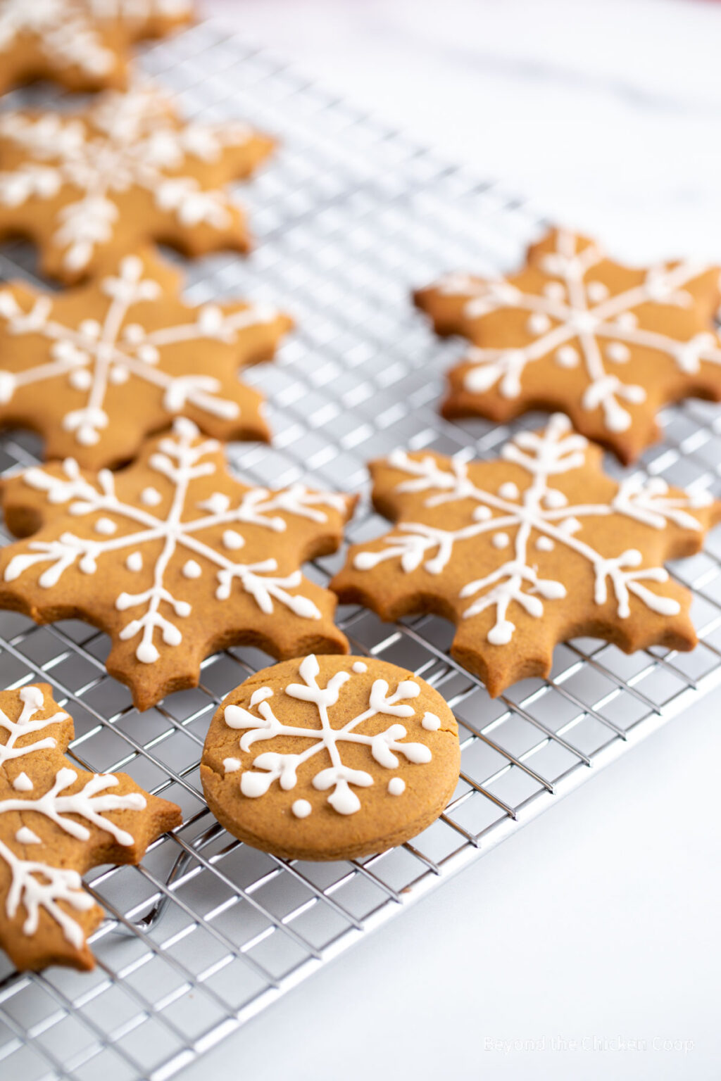 Gingerbread Snowflake Cookies - Beyond The Chicken Coop