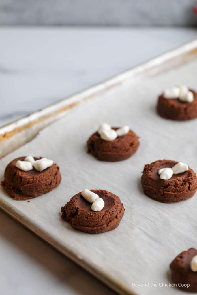 Hot Chocolate Cookies - Beyond The Chicken Coop