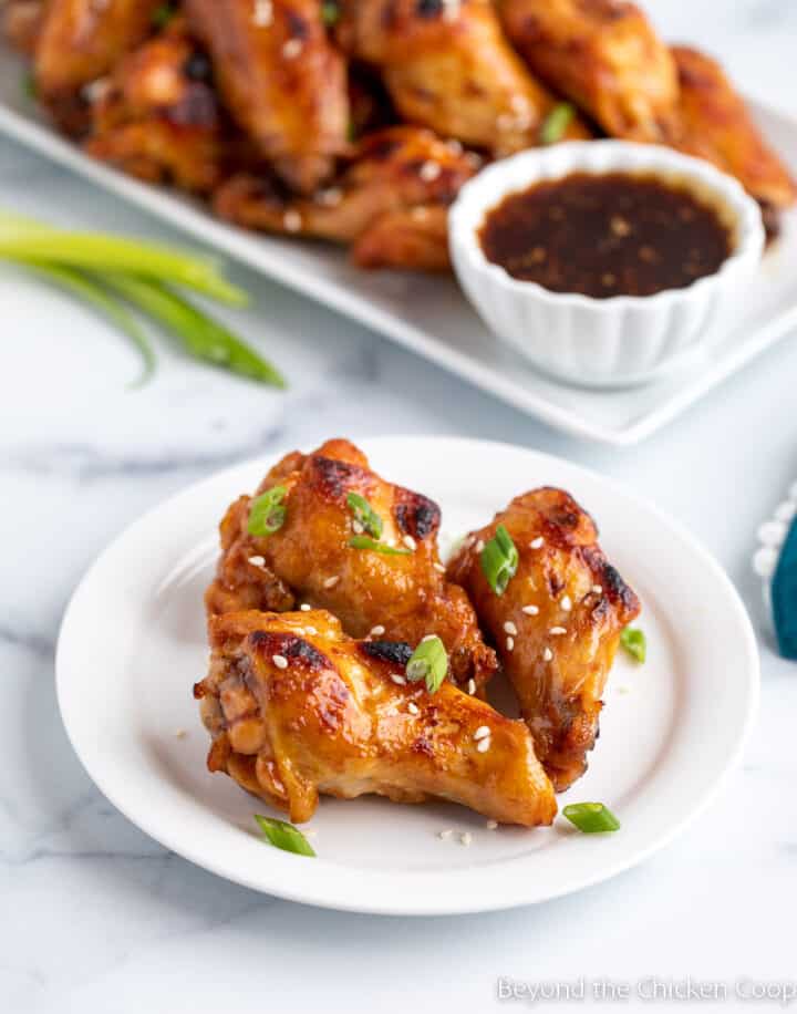 Teriyaki Wings - Beyond The Chicken Coop