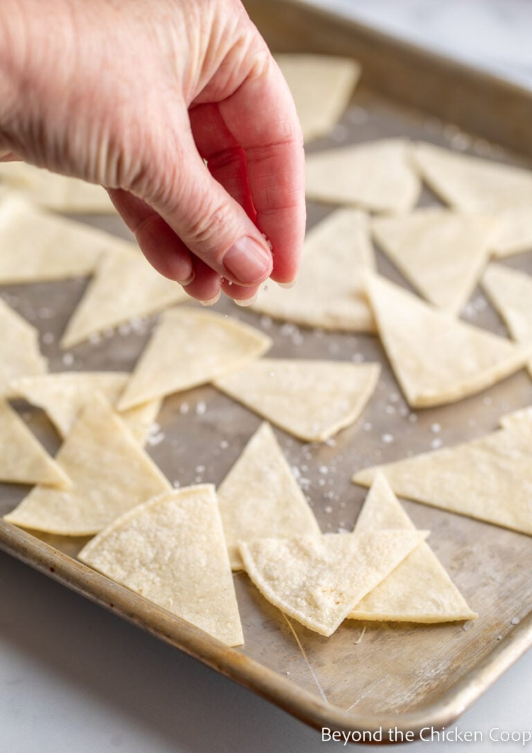 Baked Corn Tortilla Chips - Beyond The Chicken Coop