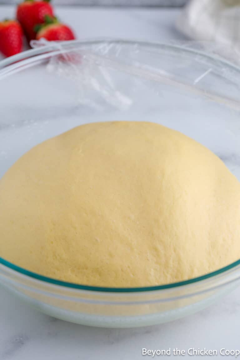 Strawberry Sweet Rolls - Beyond The Chicken Coop