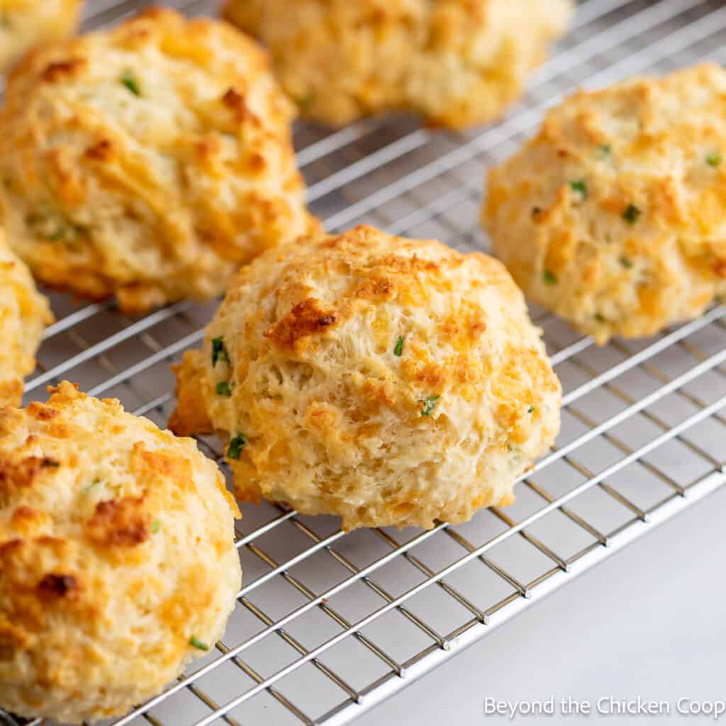 Cheddar Chive Biscuits - Beyond The Chicken Coop