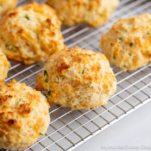 Cheddar Chive Biscuits - Beyond The Chicken Coop