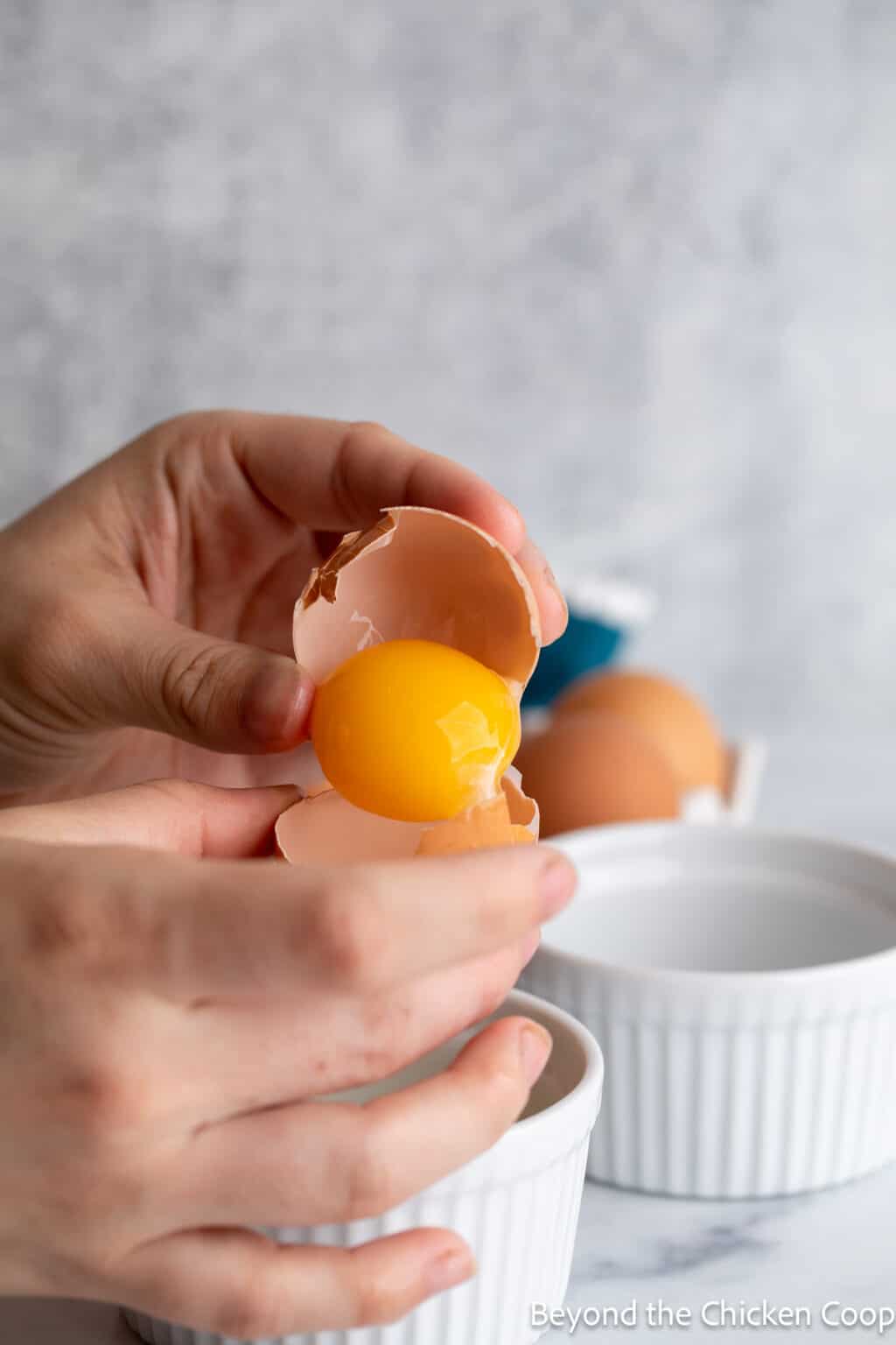 How to Separate Eggs - Beyond The Chicken Coop