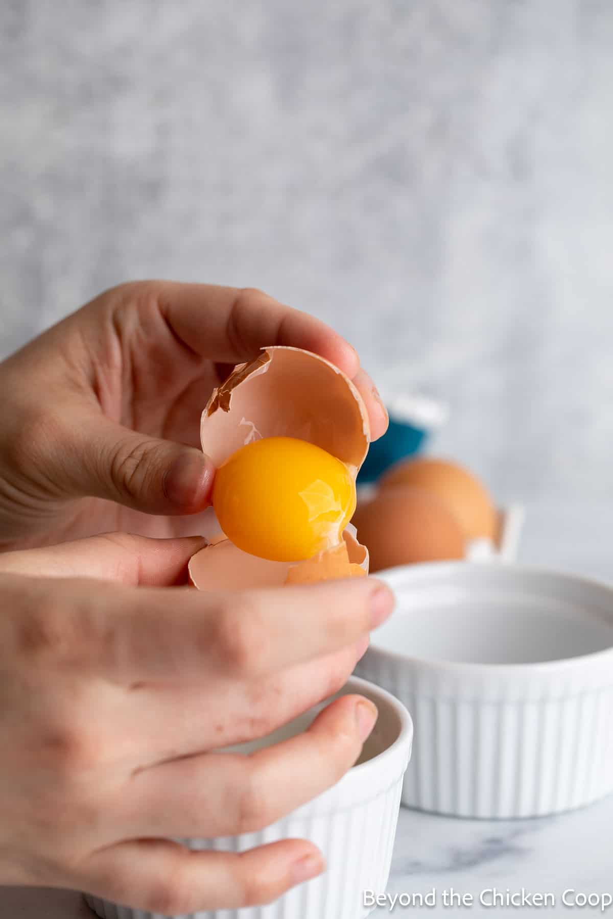 How to Separate Eggs - Beyond The Chicken Coop