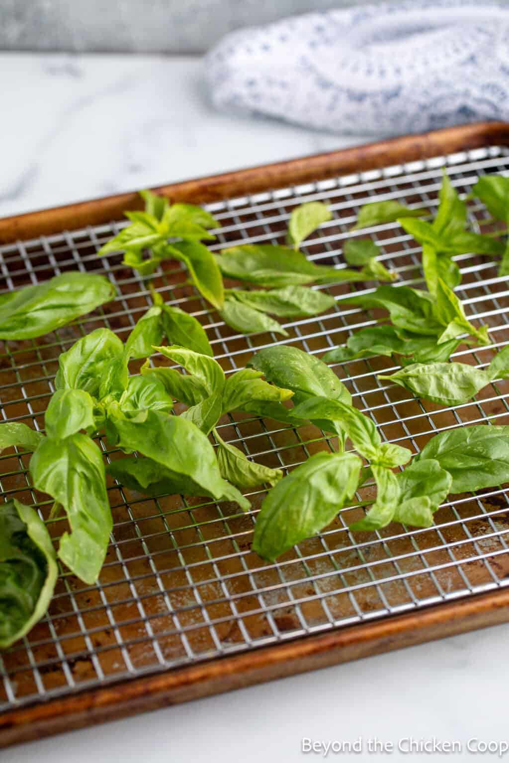 How to Dry Basil - Beyond The Chicken Coop