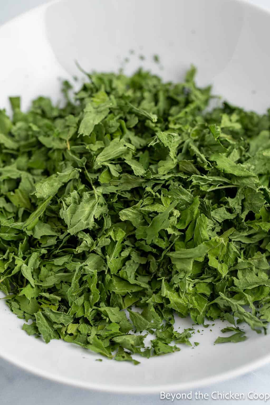 How to Dry Parsley - Beyond The Chicken Coop
