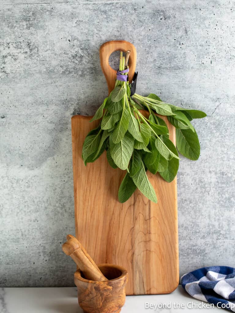 How to Dry Sage - Beyond The Chicken Coop