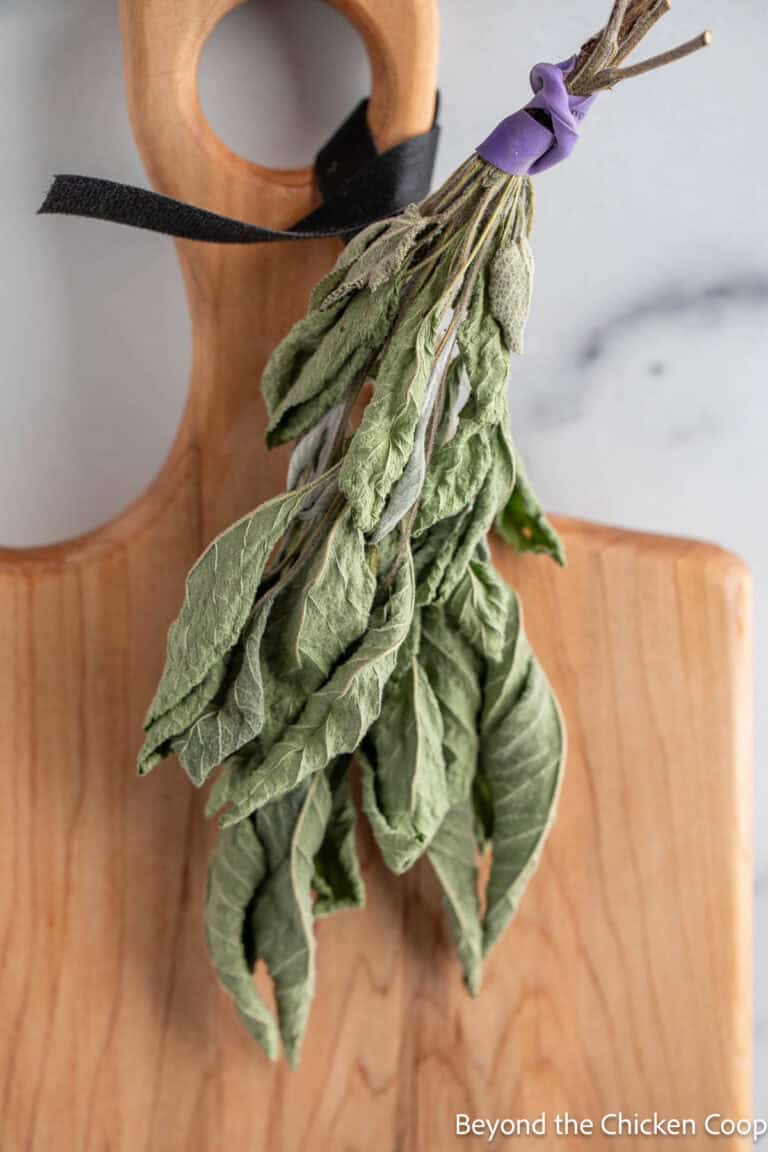 How to Dry Sage - Beyond The Chicken Coop
