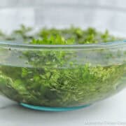 How to Dry Oregano - Beyond The Chicken Coop