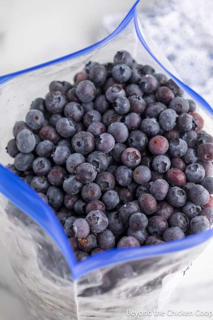 How to Freeze Blueberries - Beyond The Chicken Coop